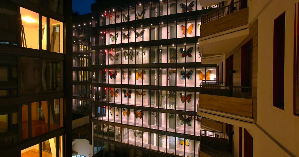 Mantra - Quai 36, Production d'art urbain